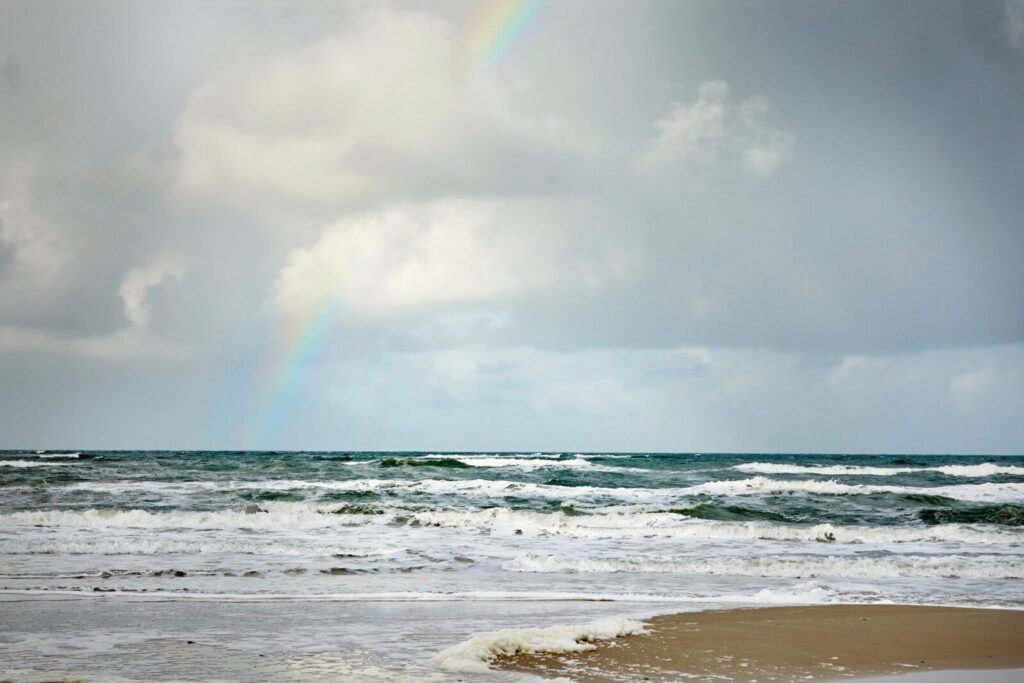 Stenpriv login elevintra